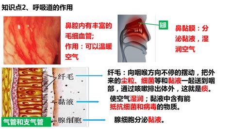 Ppt
