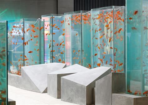 Fishpond City By Lu Yang Christian Lindle And Raoul Bukor