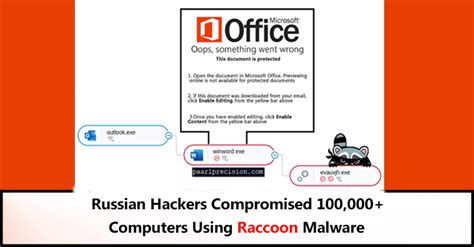 Russian Hackers Hacked 100 000 Computers Using Raccoon Malware