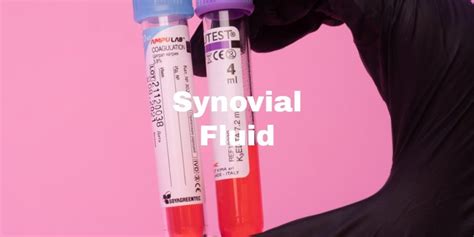 Synovial Fluid Stayonthecourtcom