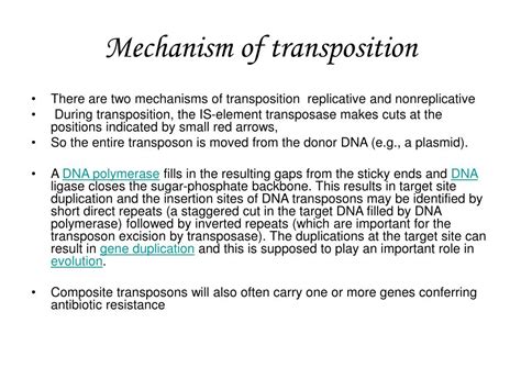 Ppt Bacterial Transposons Powerpoint Presentation Free Download Id