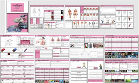 Gcse Pe Ocr 9 1 Complete Component 01 Knowledge Retrieval Revision Mats Teaching Resources