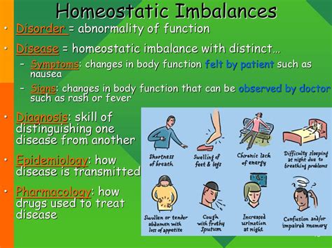 Introduction To Anatomy And Physiology Ppt Download