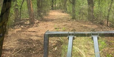 Forestry Mulching The Natural Way To Improve Your Land NWI Tree Service