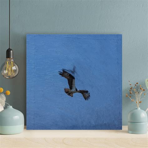 Latitude Run® Flying Bird And Dark Blue Sky 1 Piece Rectangle Flying
