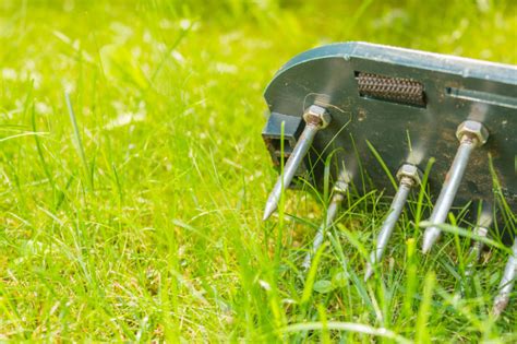 How To Loosen Compacted Soil And Improve Your Lawn