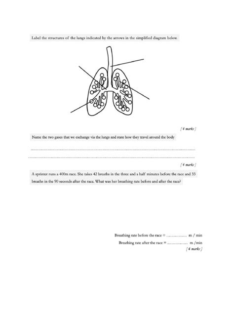 Igcse Respiratory System Pdf