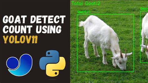 Complete Goat Detection And Counting Using Yolov11 Yolov11 Project Freetech Youtube