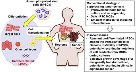 Viral Vector Based Innovative Approaches To Directly Abolishing
