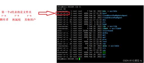 Linux权限管理详解 Csdn博客