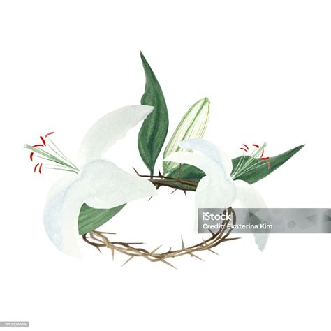 부활절 거룩한 목요일 종교적 그림에 대 한 가시와 백합의 수채화 면류관 흰색에 고립 된 종교 그림 가시관에 대한 스톡 벡터 아트