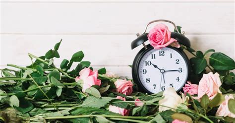 33 Best Same Day Flower Delivery In Singapore 2024 Flower Fun