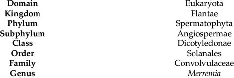 Taxonomic Classification Of The Genus Merremia Download Scientific