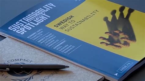 როგორ ასრულებს საქართველო მდგრადი განვითარების 17 მიზანს Youtube