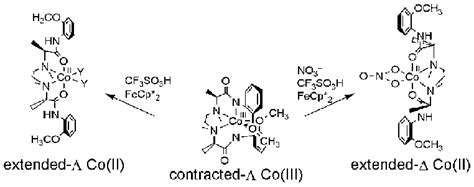 Redox Triggered Extensioncontraction And Successive Helicity Inversion