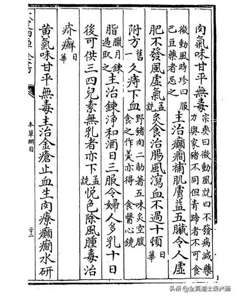 豬年說豬本草綱目真的說了豬肉有毒不能吃嗎 每日頭條