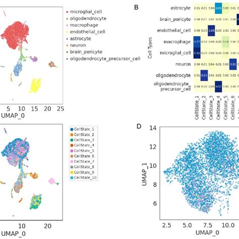 A Umap Based On Pca Analysis Of Gene Expression Overlaid With Known