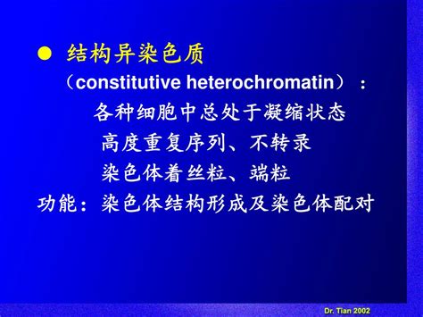 Ppt 第二章 染色质、染色体、基因和基因组 Powerpoint Presentation Id 5327533