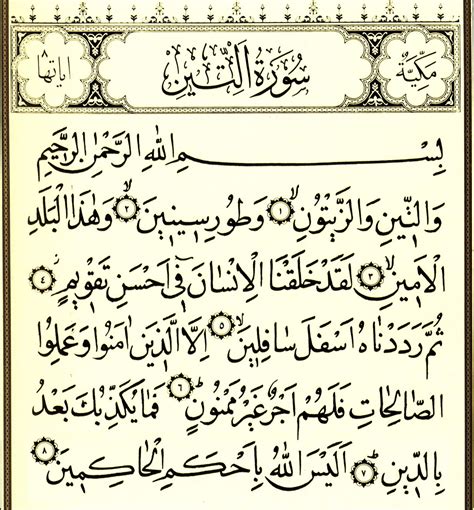 Sura Al Tin Wikishia