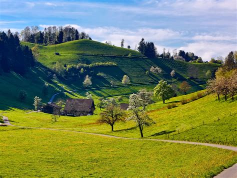 산 언덕 나무 잔디 녹색 봄 집 도로 배경 화면 1600x1200 배경 화면 다운로드