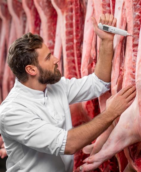 Pig Classification Hatziioakimidis