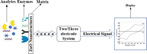 Schematic Representation Of The Working Principle Of Electrochemical