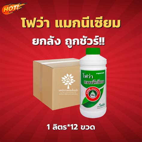 โฟว่า แมกนีเซียม ยกลัง ขนาด 1 ลิตร 12 ขวด ชิ้นละ 290 บาท