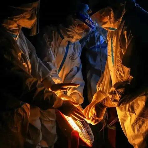 未央区全域全员全整合 共筑社区防疫网 防控 疫情 联防