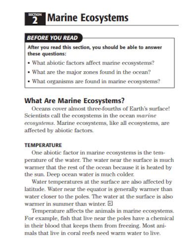 99 Ecosystem Examples