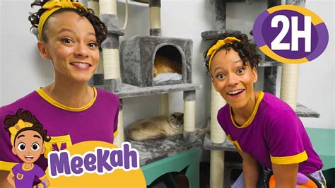Cats And Kittens Playtime Blippi And Meekah Best Friend Adventures