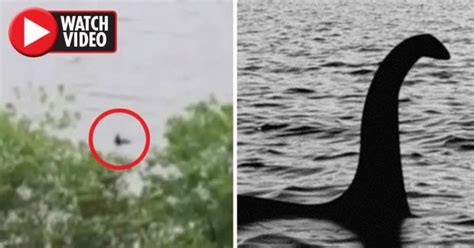 Loch Ness Monster ‘caught On Camera By Stunned Couple As Expert Deems