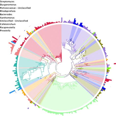 Circular Phylogenetic Tree At The Genus Level The Most Abundant 10