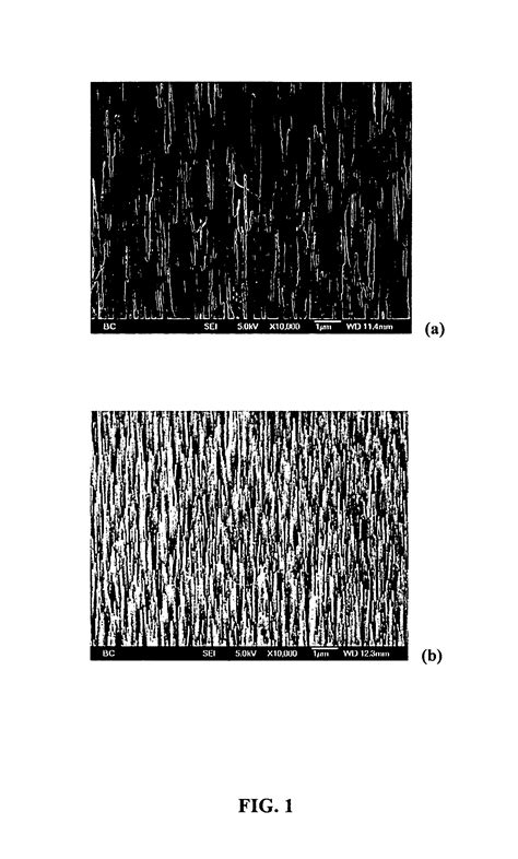 Coated Carbon Nanotube Array Electrodes Eureka Patsnap