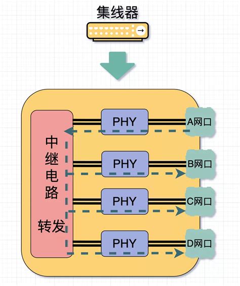 计算机网络基础 — 网络设备的类型 构成计算机网络的主要网络设备有哪些类型 csdn博客