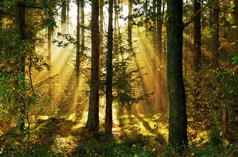 Naturfoto Images Browse 4 171 Stock Photos Vectors And Video