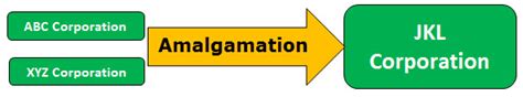 Difference Between Amalgamation And Merger And Infographics