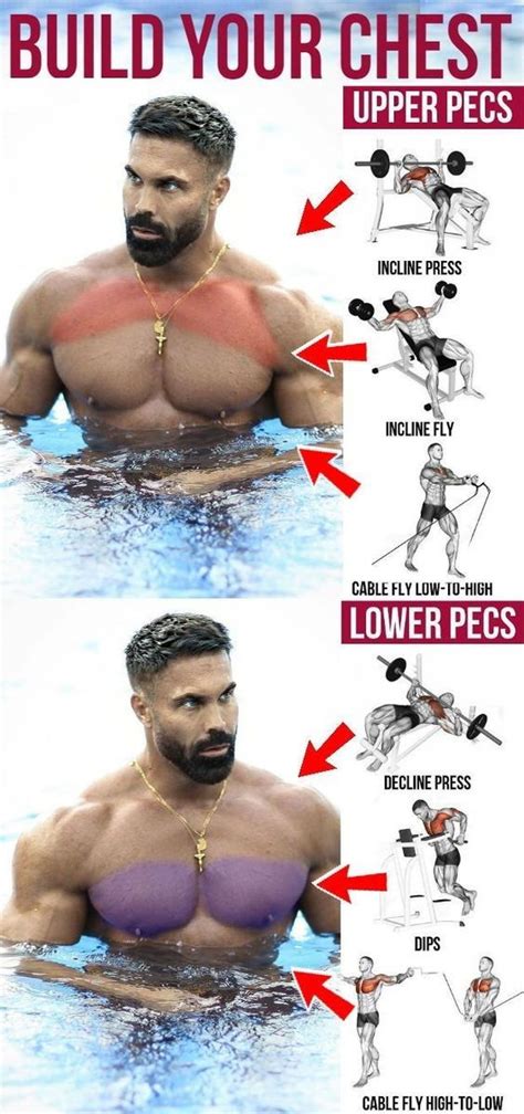 The Chest Exercises And Workouts Abs Workout Gym Chest Workouts