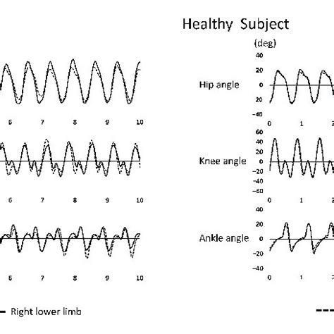 Representative Examples Of Joint Angles Of The Lower Limbs During Download Scientific Diagram