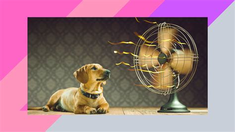 Mastering The Art Of Cooldowns And What It Means Plarium