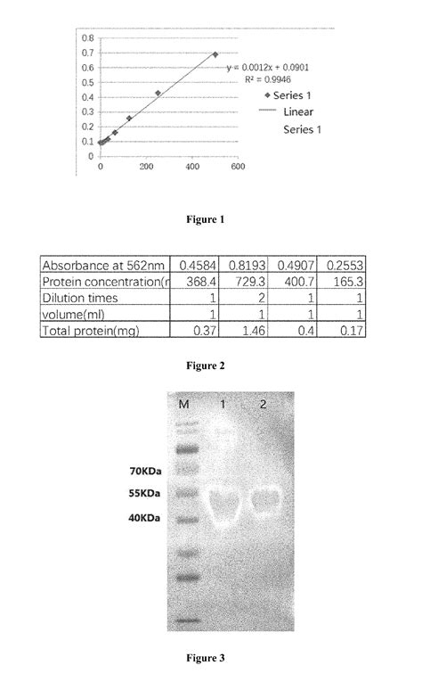 Hexon Protein Hypervariable Region Gene Sequence Of Adenovirus And Its
