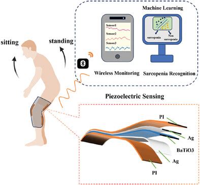 Wearable Piezoelectric Sensors Based on BaTiO3 Films for Sarcopenia ...