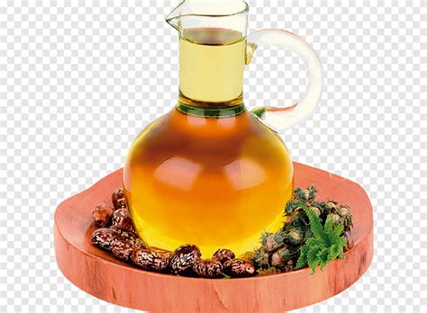 아주까리 기름 Ricinus Seed Oil 지방산 기름 기타 오일 Png Pngegg