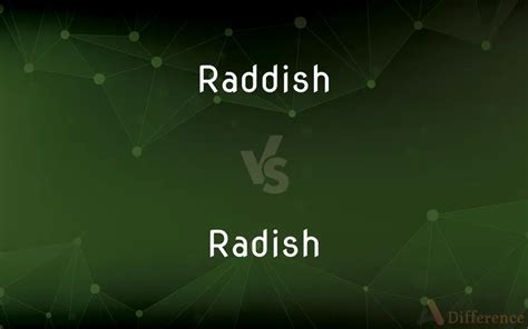 Raddish Vs Radish — Which Is Correct Spelling