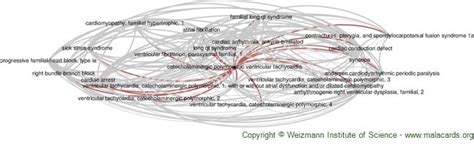 Catecholaminergic Polymorphic Ventricular Tachycardia Disease