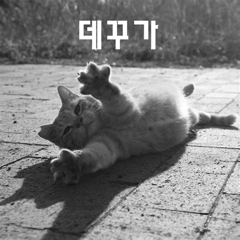 굿노트 위클리 주간 스터디 플래너 속지 Pdf 일요일 시작 6종 다운로드 Goodnotes Tamplate Artofit