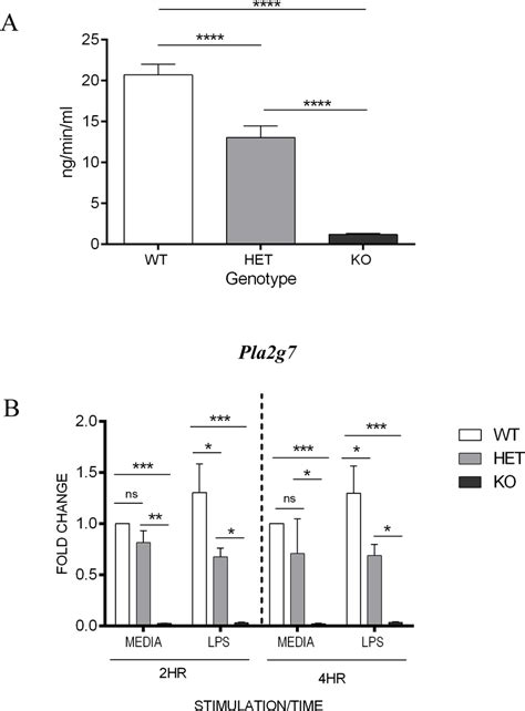 Quantification Of Lp Pla2 Enzyme Activity And Gene Expression In Murine
