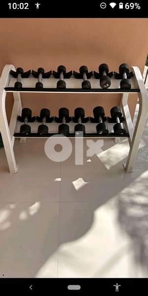 Cybex Dumbbell Rack Sporting Goods 104780861