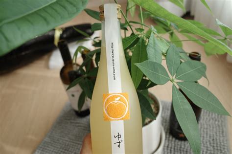 츠루우메 유즈 2만6천원 금액에 구매한 후기 일본 유자 사케 직구 방법 네이버 블로그