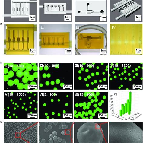 Characterization Of The Microfluidic Chip And Microspheres A Download Scientific Diagram