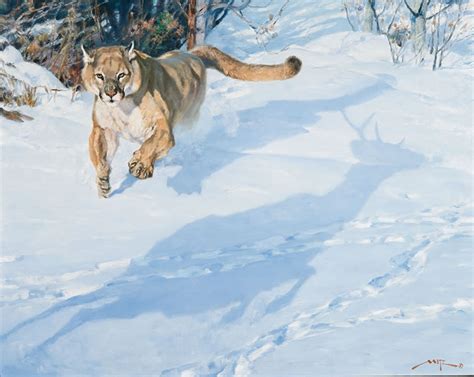 Daniel Metz Biography